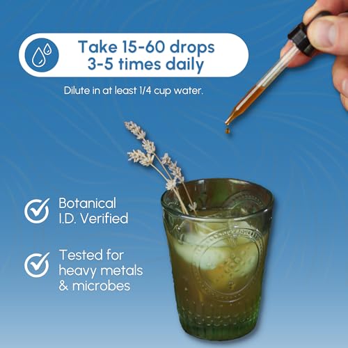 enhance cognitive function with tincture
