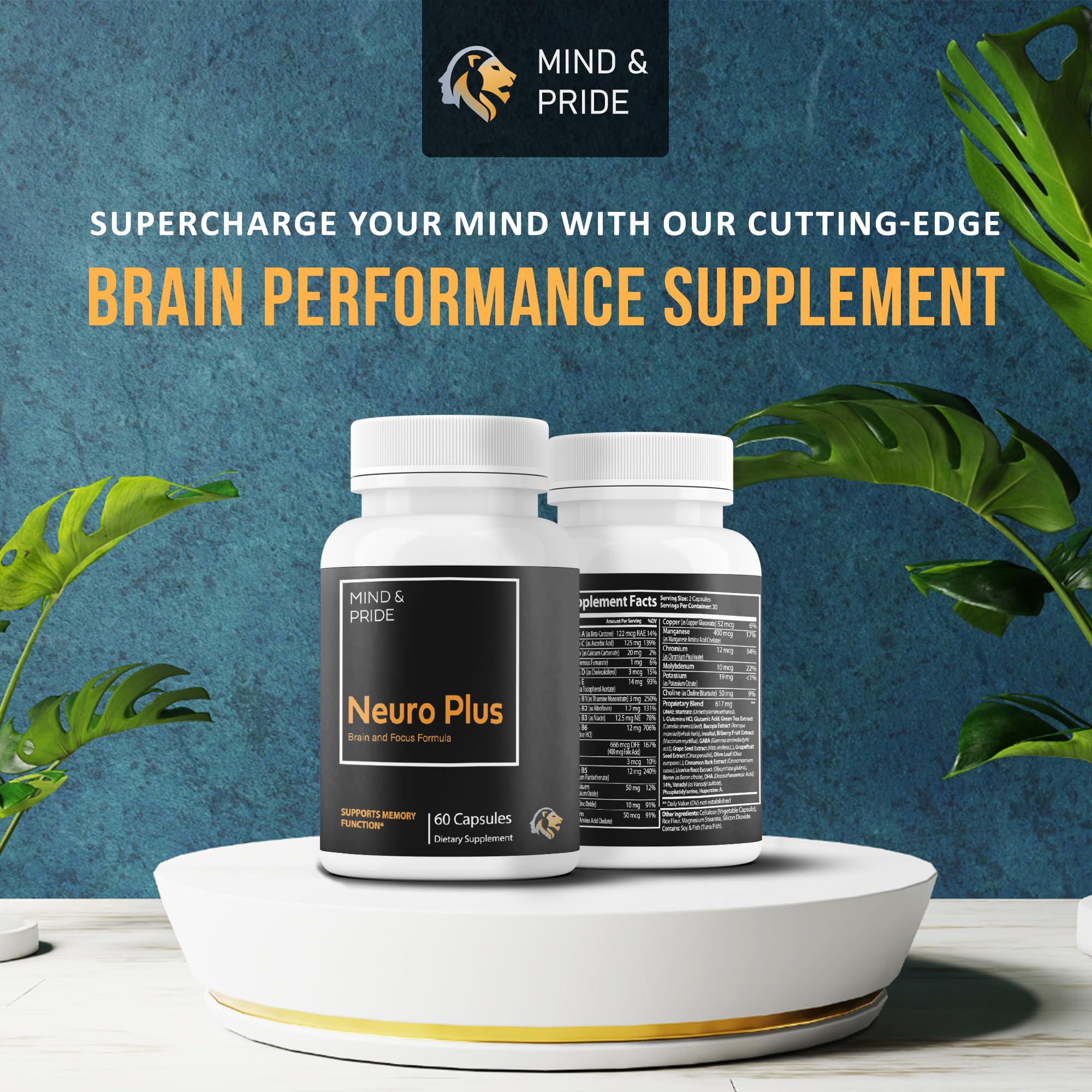 enhance cognitive function with vitamins