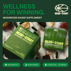 enhance cognitive performance lion's mane