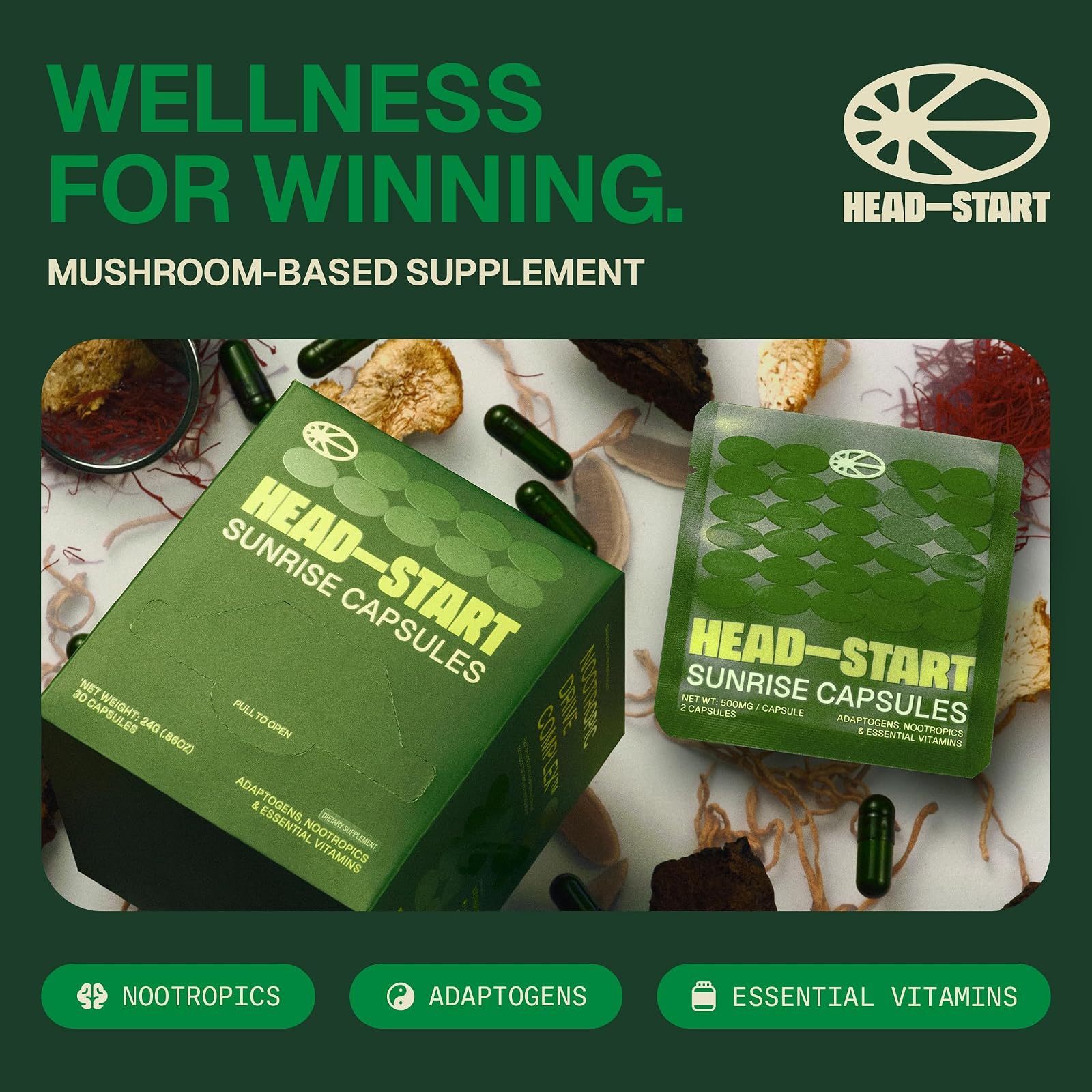 enhance cognitive performance lion's mane