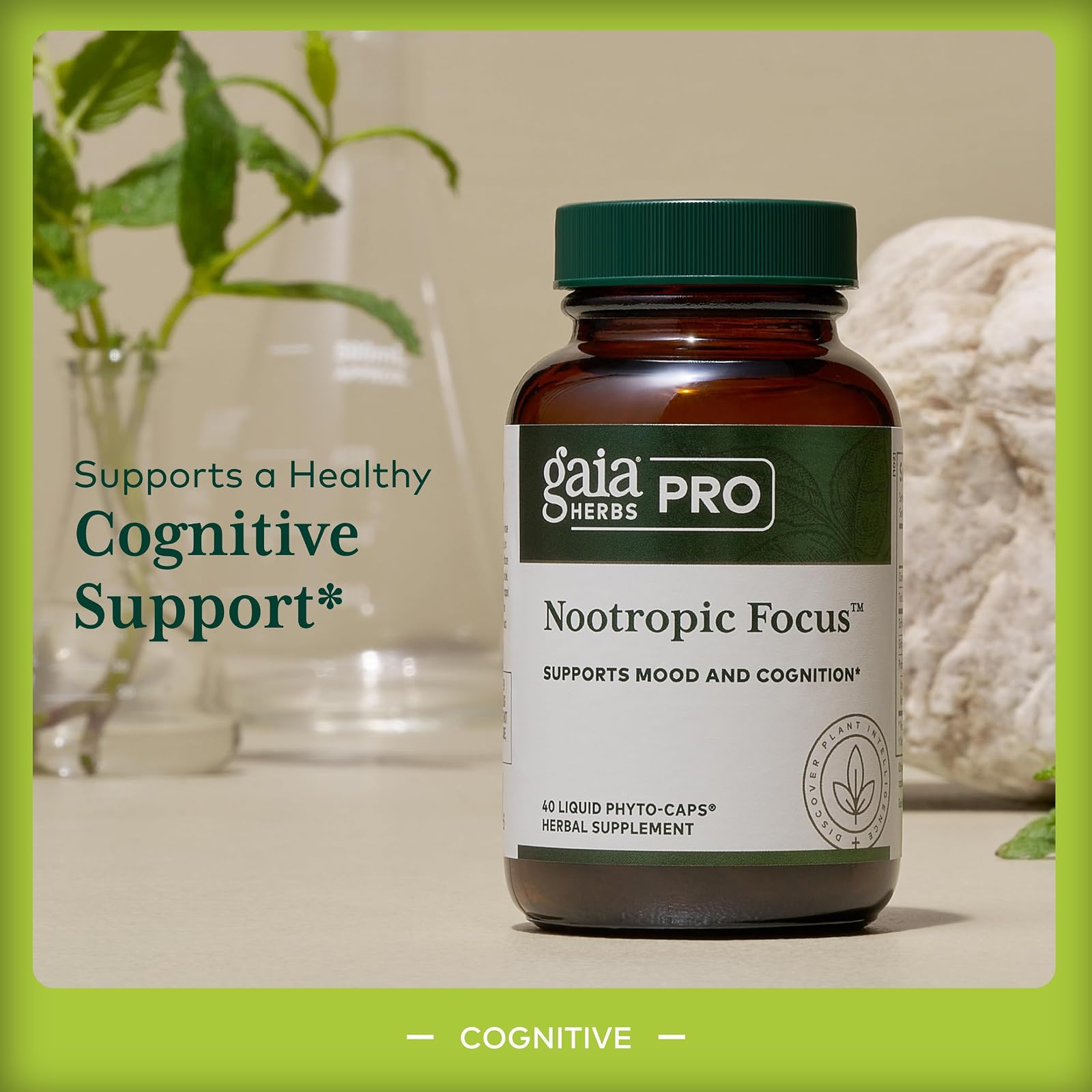 enhance cognitive performance naturally