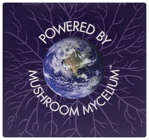 Enhance concentration with mushroom capsules