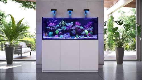Enhance coral growth with calcium