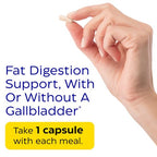 enhance digestion with Enzymedica