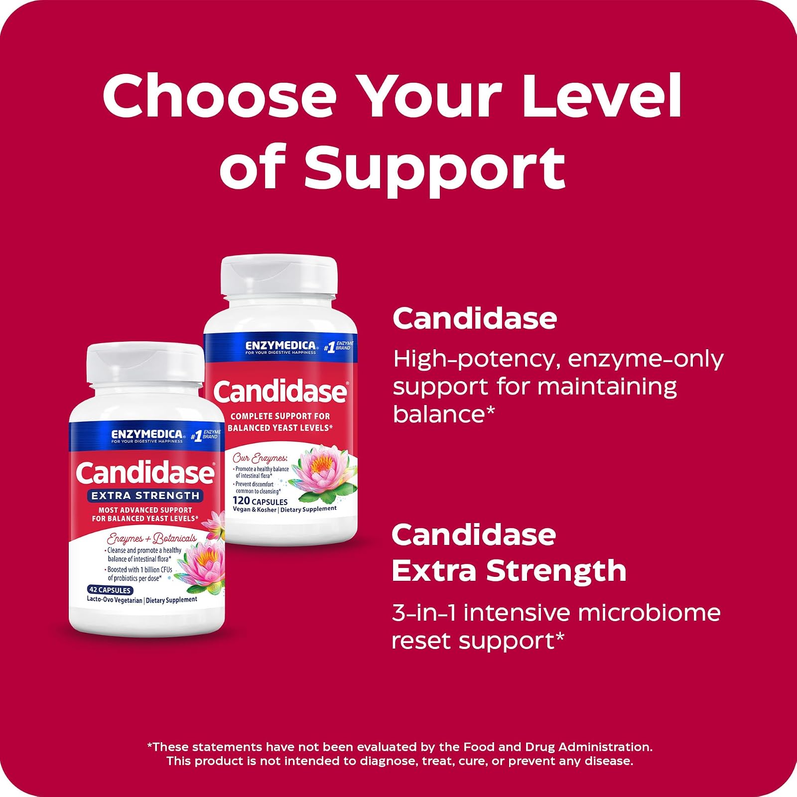 enhance digestion with Enzymedica