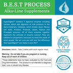 enhance digestion with enzymes