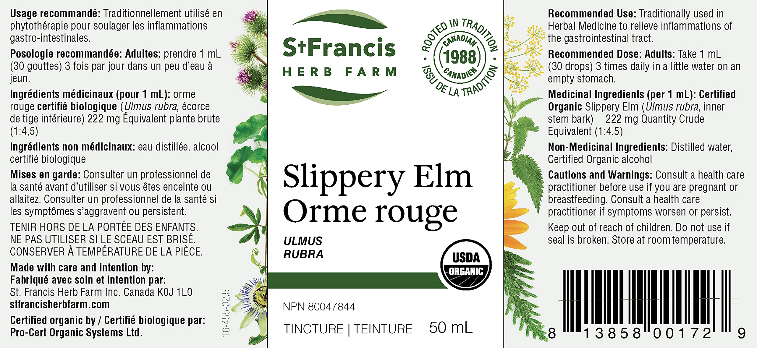 enhance digestion with herbal supplements