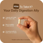 Enhance digestion with Lypazyme capsules