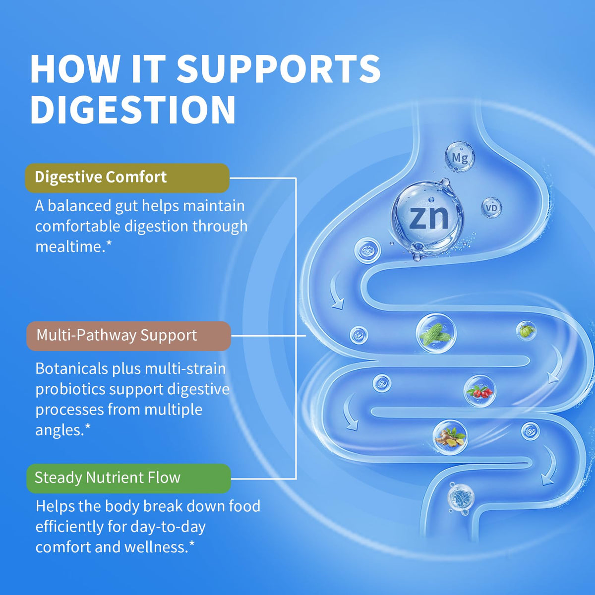 Enhance digestion with Mulittea enzymes