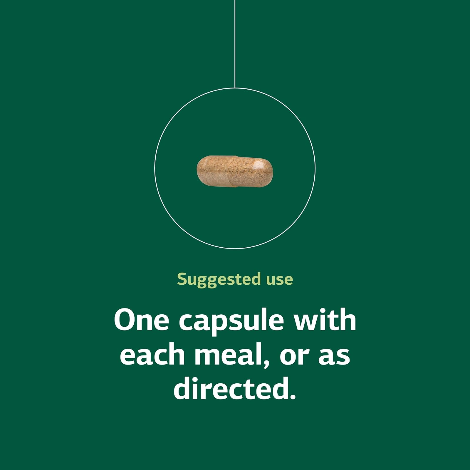 enhance digestion with Multizyme
