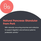 enhance digestion with Nutricology enzymes