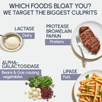 enhance digestion with RYOS enzymes