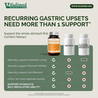 enhance digestion with Stomach Plus
