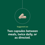 enhance digestion with Zymex II
