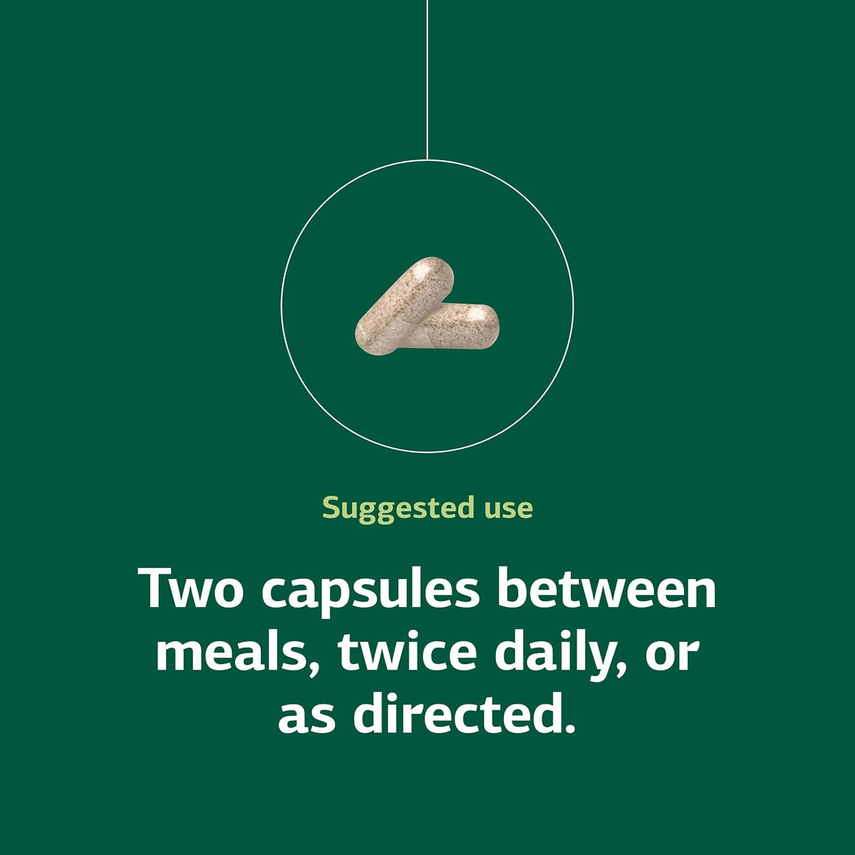 enhance digestion with Zymex II