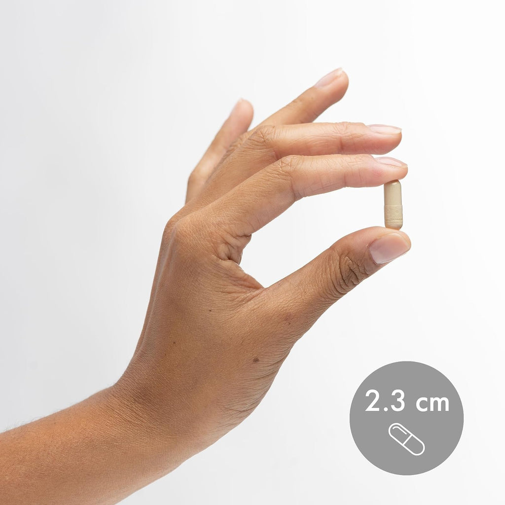 enhance digestive wellness with enzymes