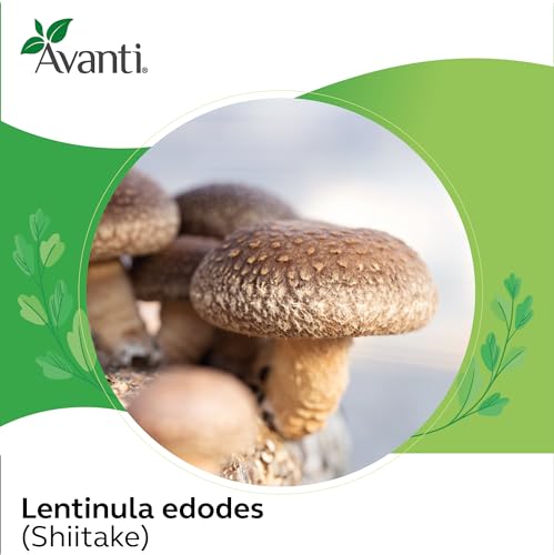 enhance dishes with mushroom powder