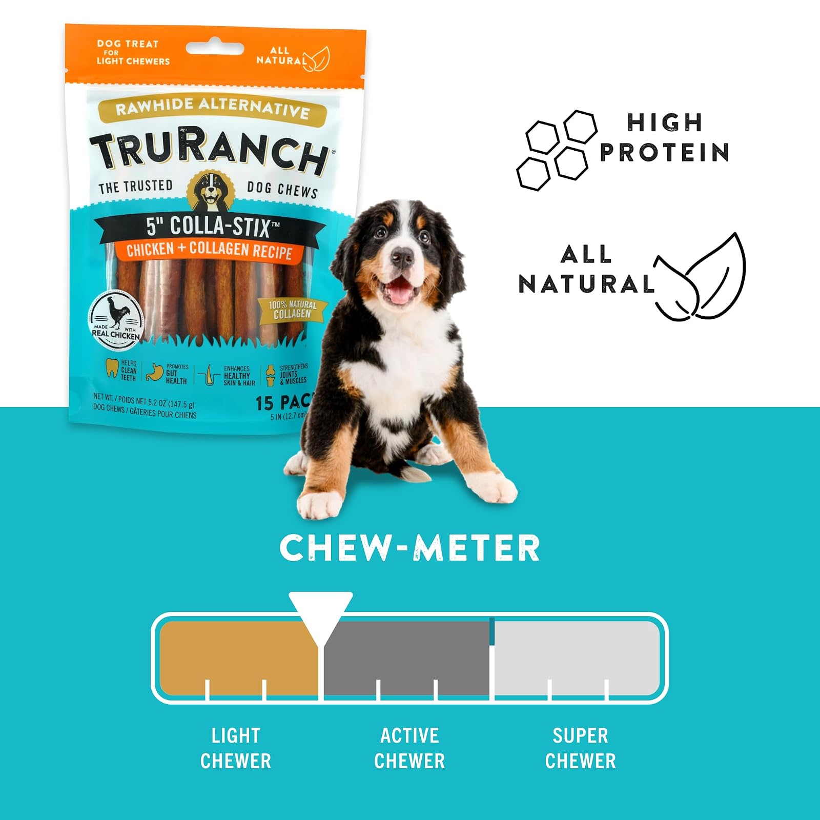 enhance dog beauty with collagen