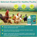 Enhance egg production with vitamin E