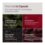enhance endurance with beet extract
