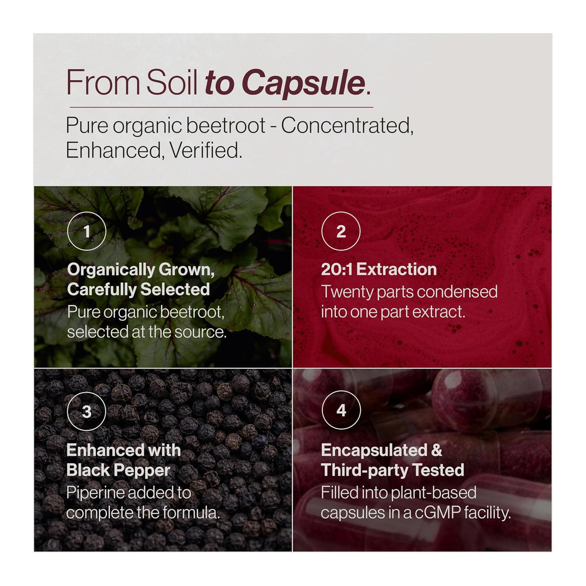 enhance endurance with beet extract