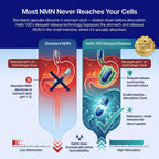 enhance endurance with NMN