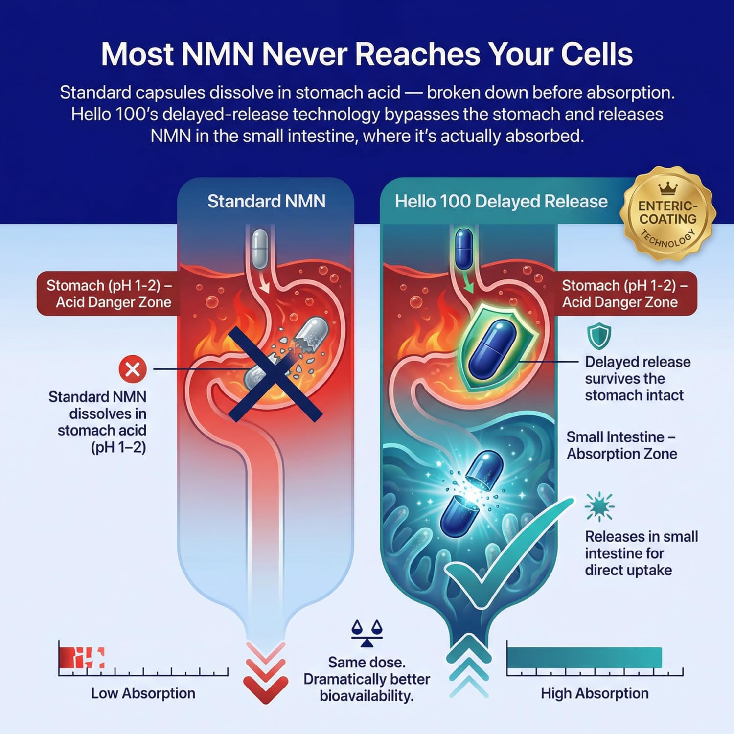 enhance endurance with NMN