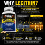 Enhance endurance with Tribulus Terrestris