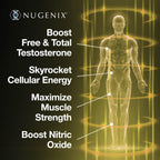 enhance energy and performance with Nugenix