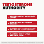enhance energy and vitality ONL
