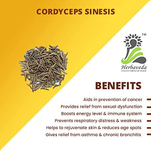 Enhance energy levels with Ayurveda