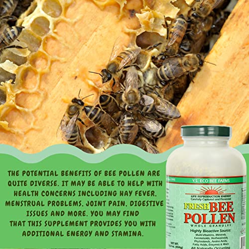 enhance energy with bee pollen