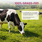 enhance energy with beef organs