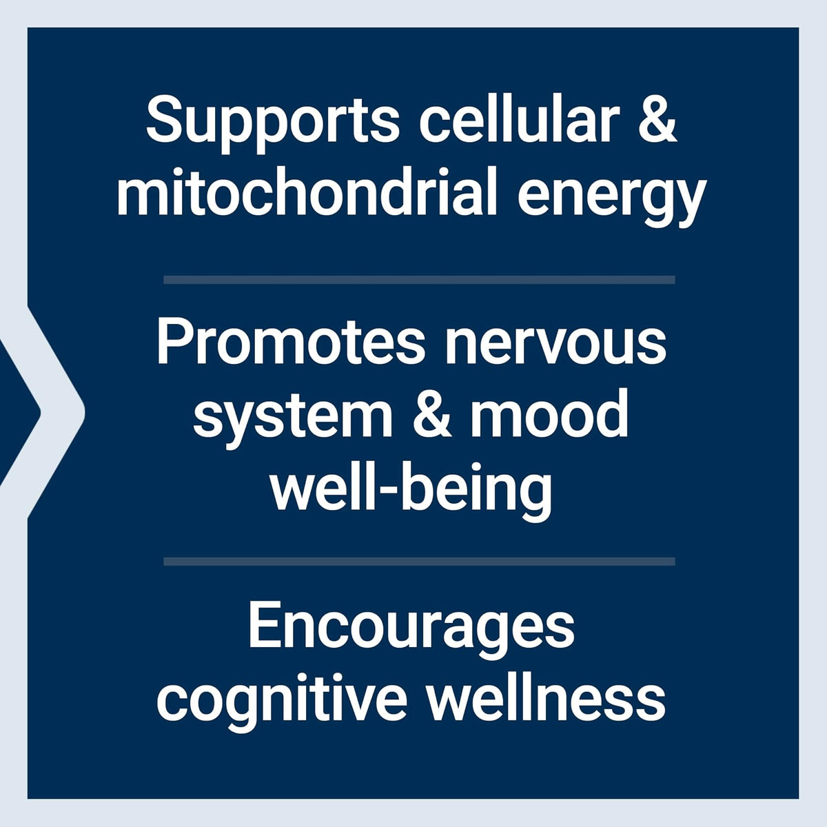 enhance energy with l-carnitine