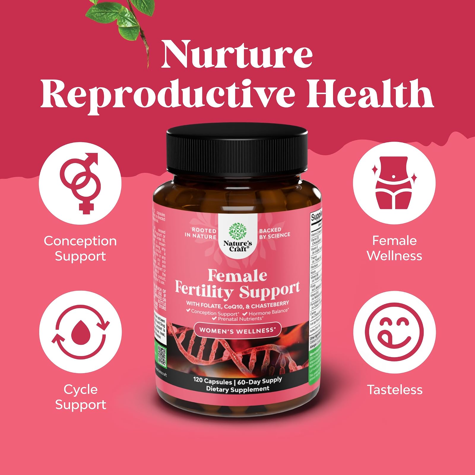 enhance fertility with folic acid