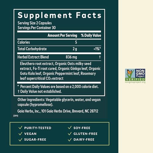 enhance focus using ginkgo biloba