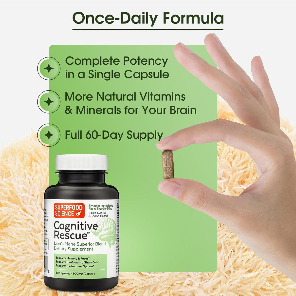 enhance focus using lion's mane