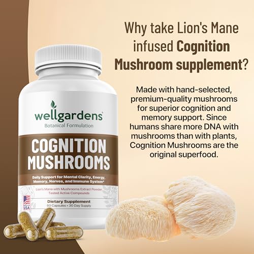 enhance focus using mushroom extract