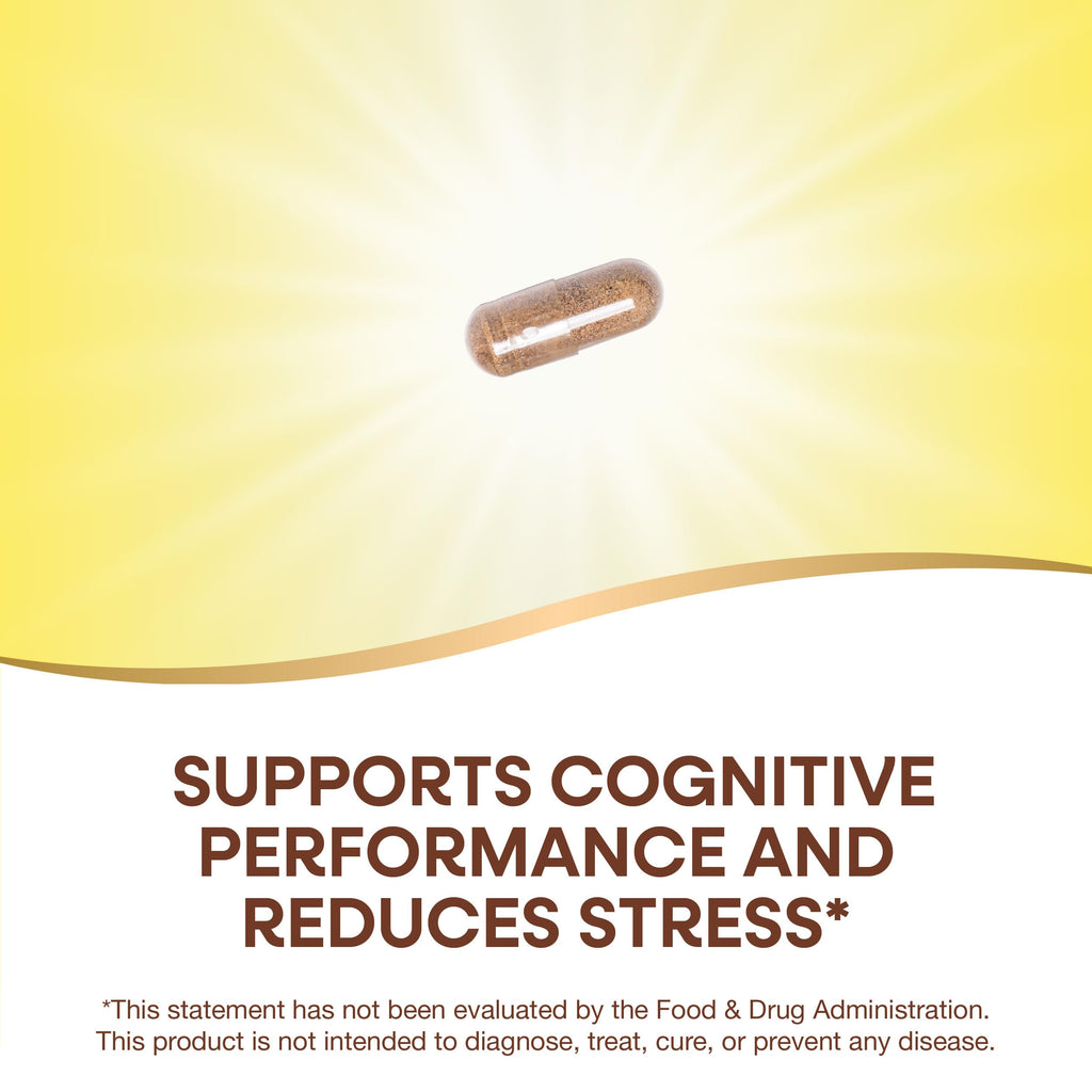 enhance focus with blended vitamin supplements