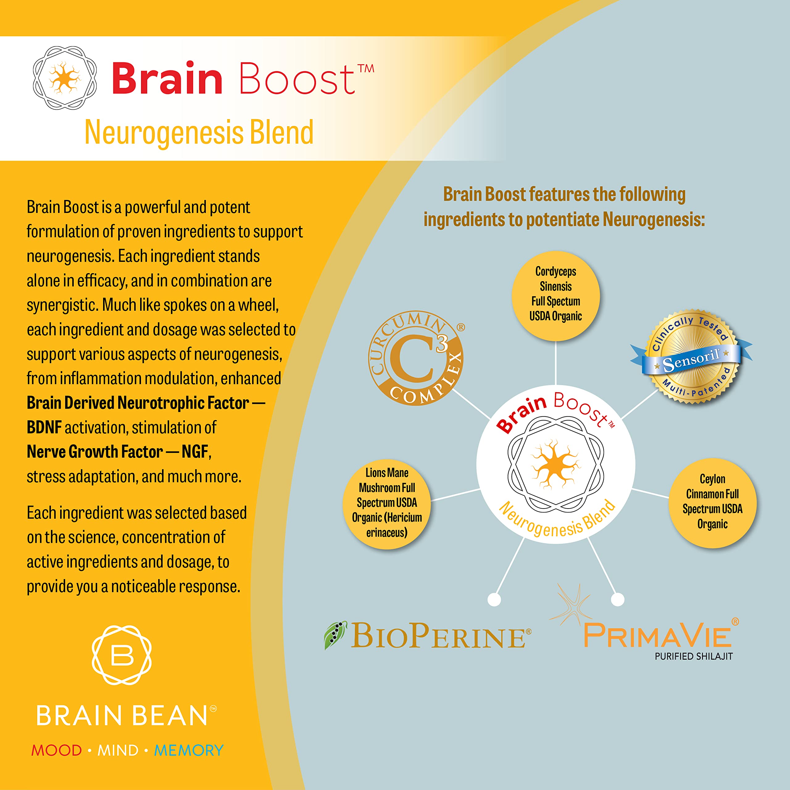enhance focus with curcumin capsules