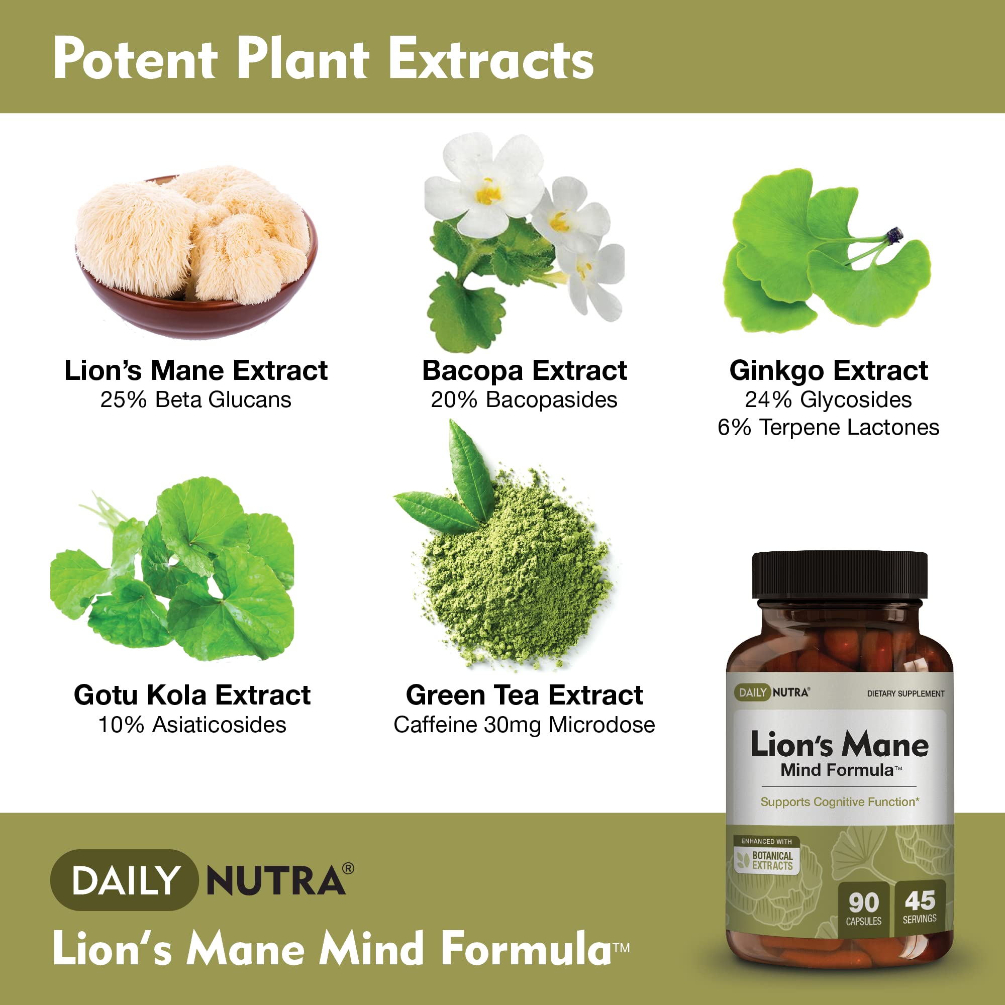 Enhance focus with DailyNutra mushrooms