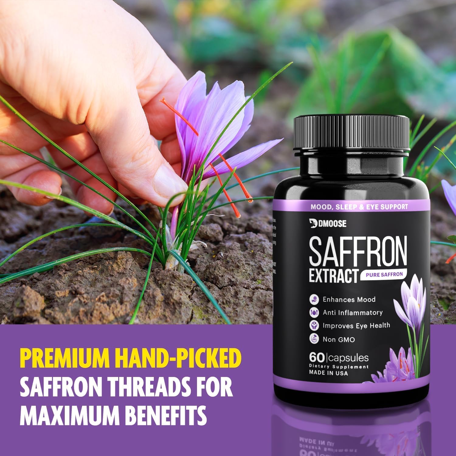 enhance focus with DMoose saffron