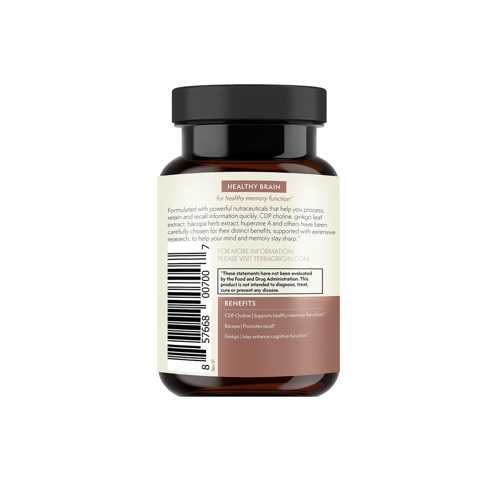 enhance focus with ginkgo biloba extract