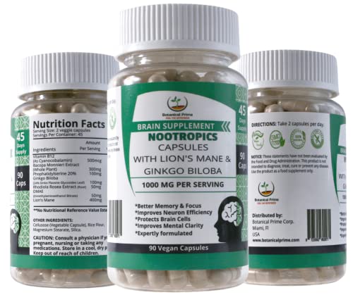 enhance focus with ginkgo biloba
