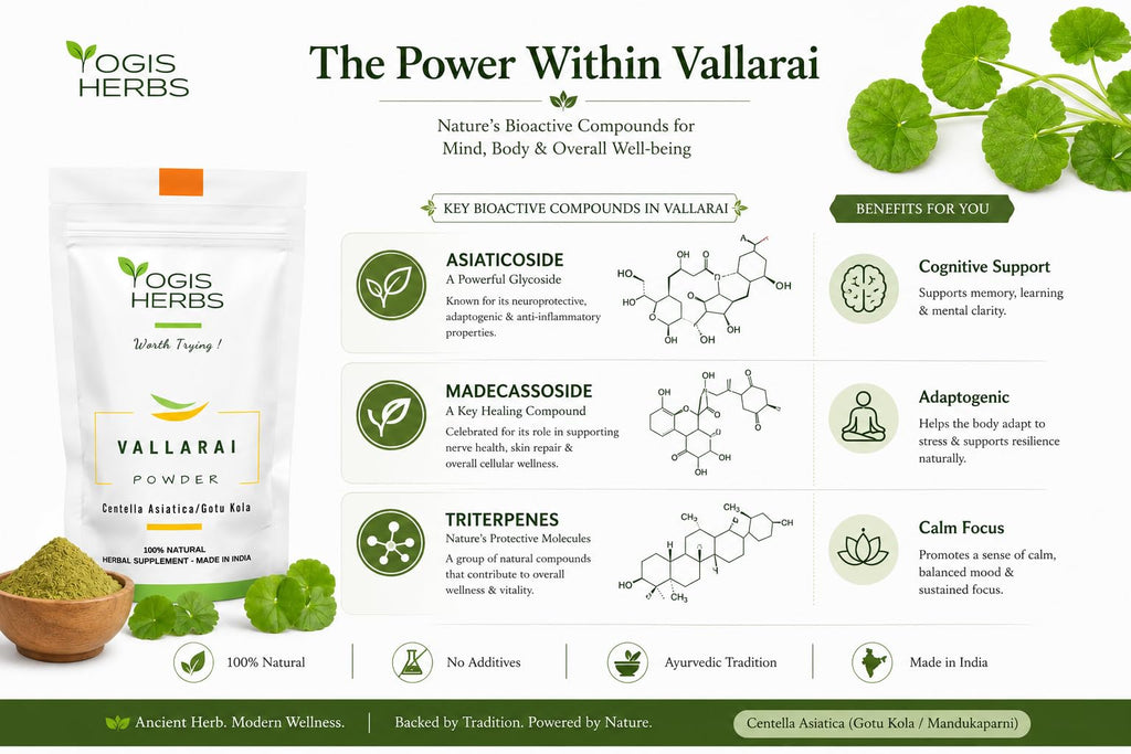 enhance focus with Gotu Kola powder