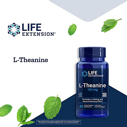 enhance focus with L-Theanine capsules