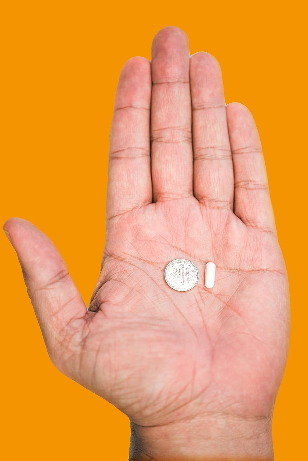 enhance focus with l-theanine