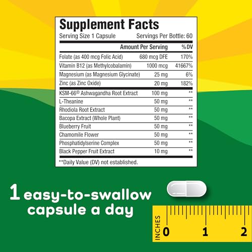 Enhance focus with L-Theanine