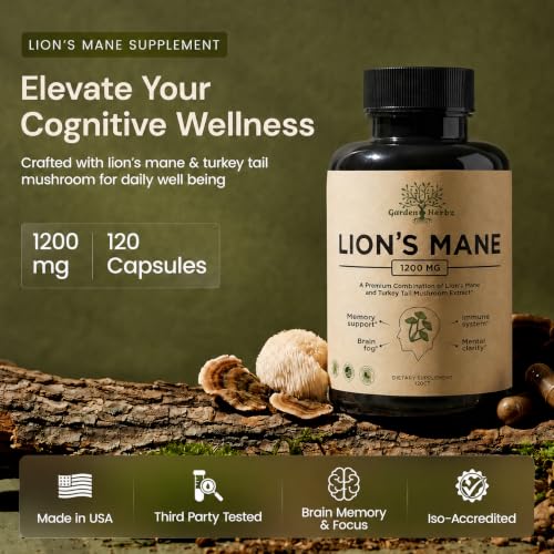 Enhance focus with Lion's Mane mushrooms