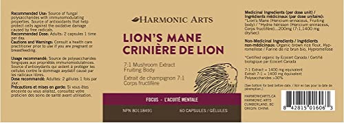 enhance focus with Lion's Mane mushrooms